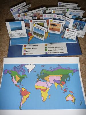 The Homeschool Den: World Biomes -- Homemade Pin Map