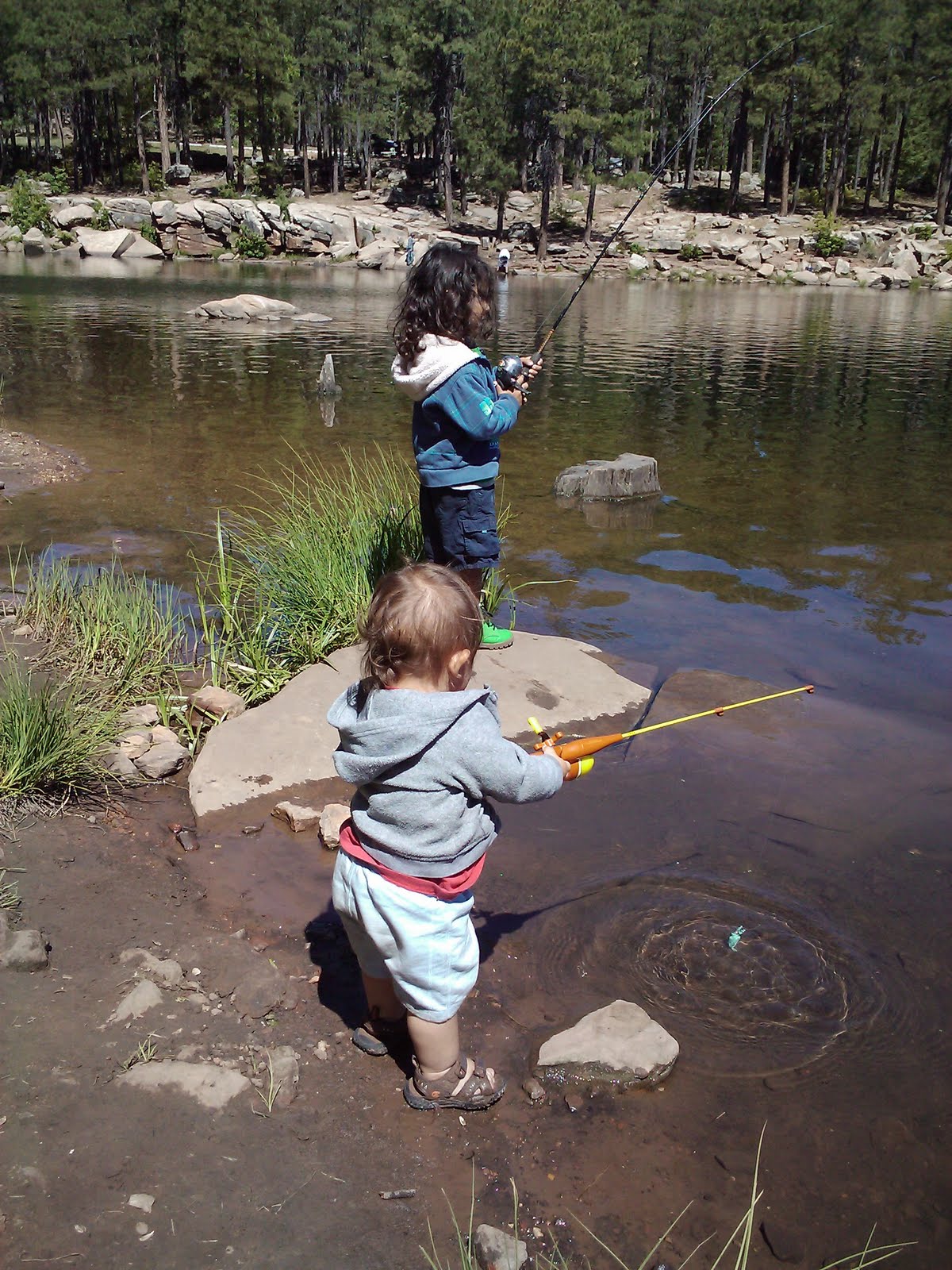 LOVE CYCLES: brian's sweet teets philly bound