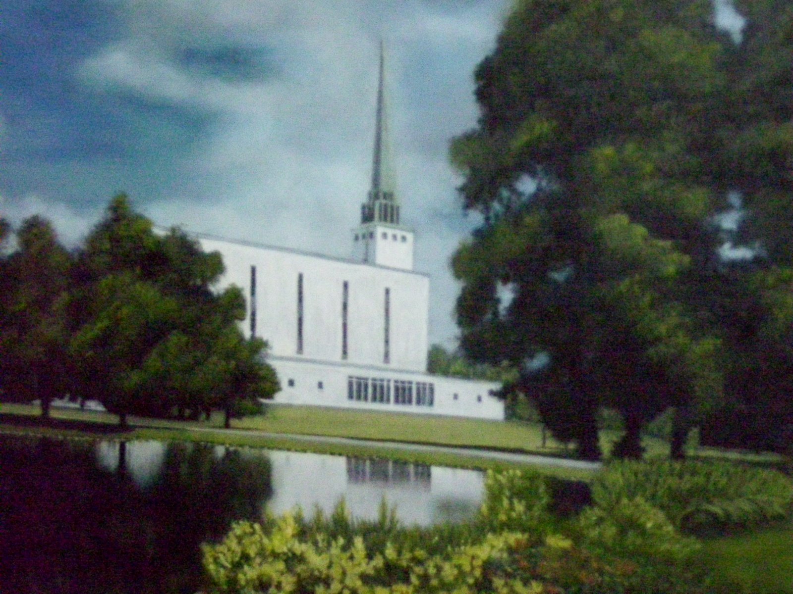 Fran Martin - Artist