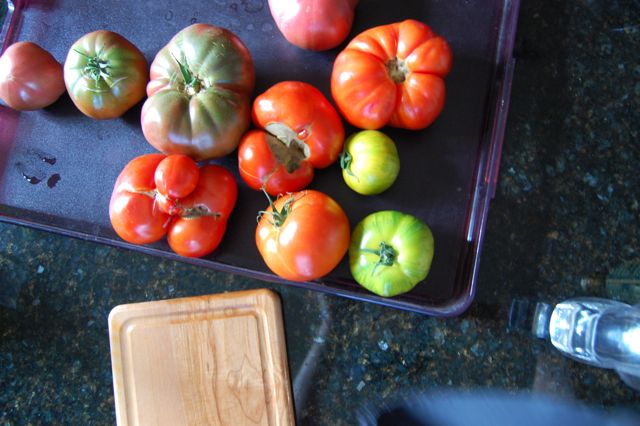 Cooking with Jocinda: So Many Tomatoes!