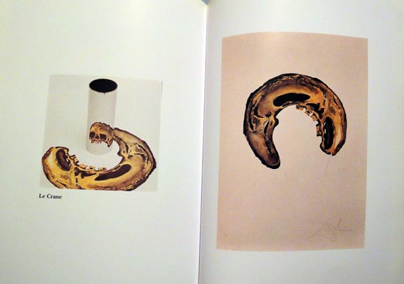 Salvador Dali Book Collector: Dali Exhibition Catalogs.