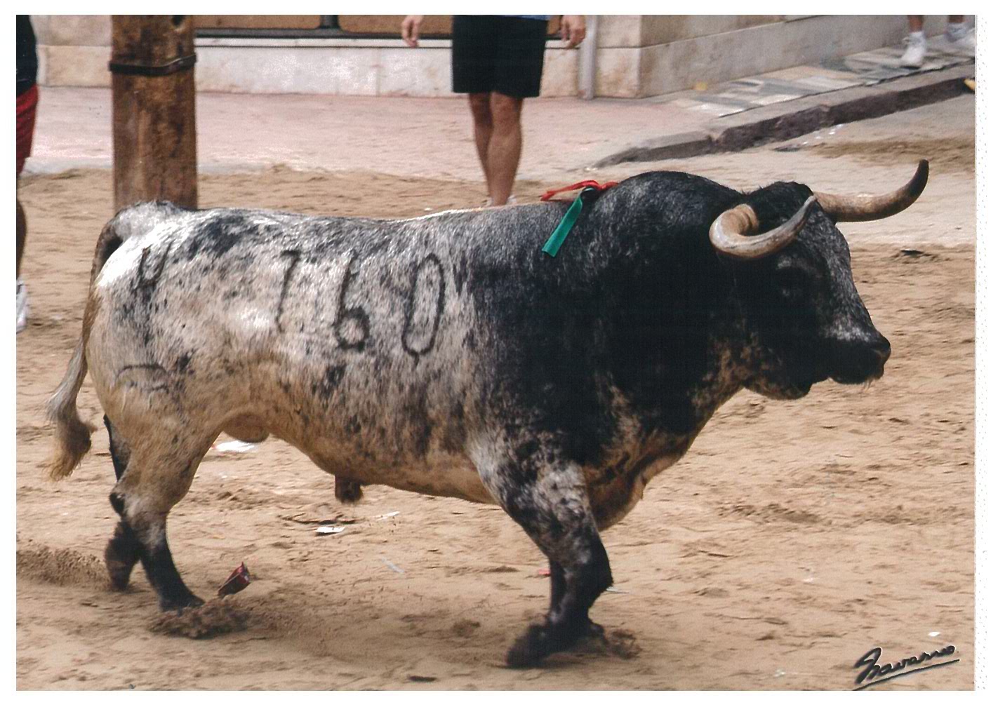 PENYA TAURINA EL BOU DE BORRIANA: AÑO 2004 Ganaderia de CEBADA GAGO ...