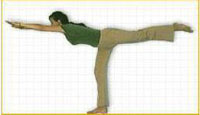 Yoga Tips by Baba Ramdev: Yoga Asanas