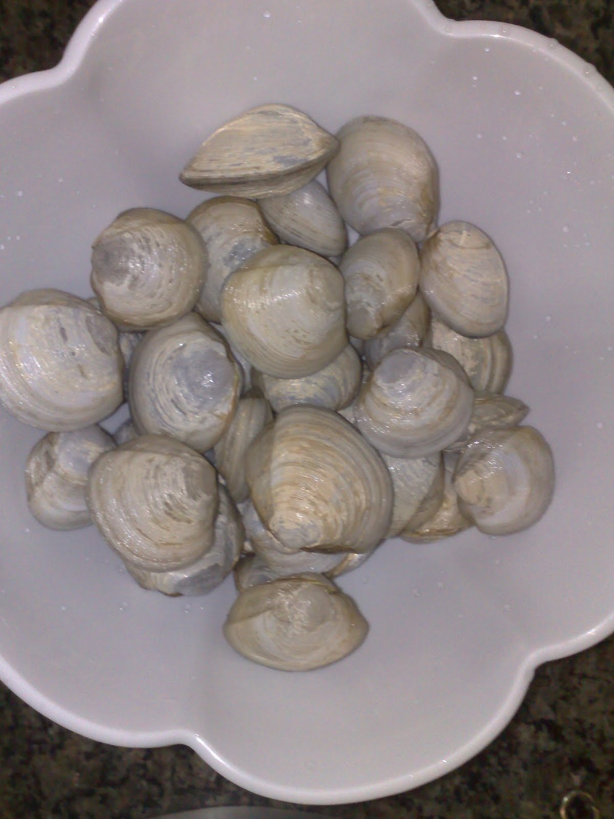 Diário Gastronômico: Lambreta...Lambretinha!!!