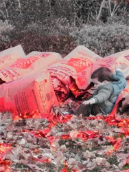 nellycity: | DailY-NellY