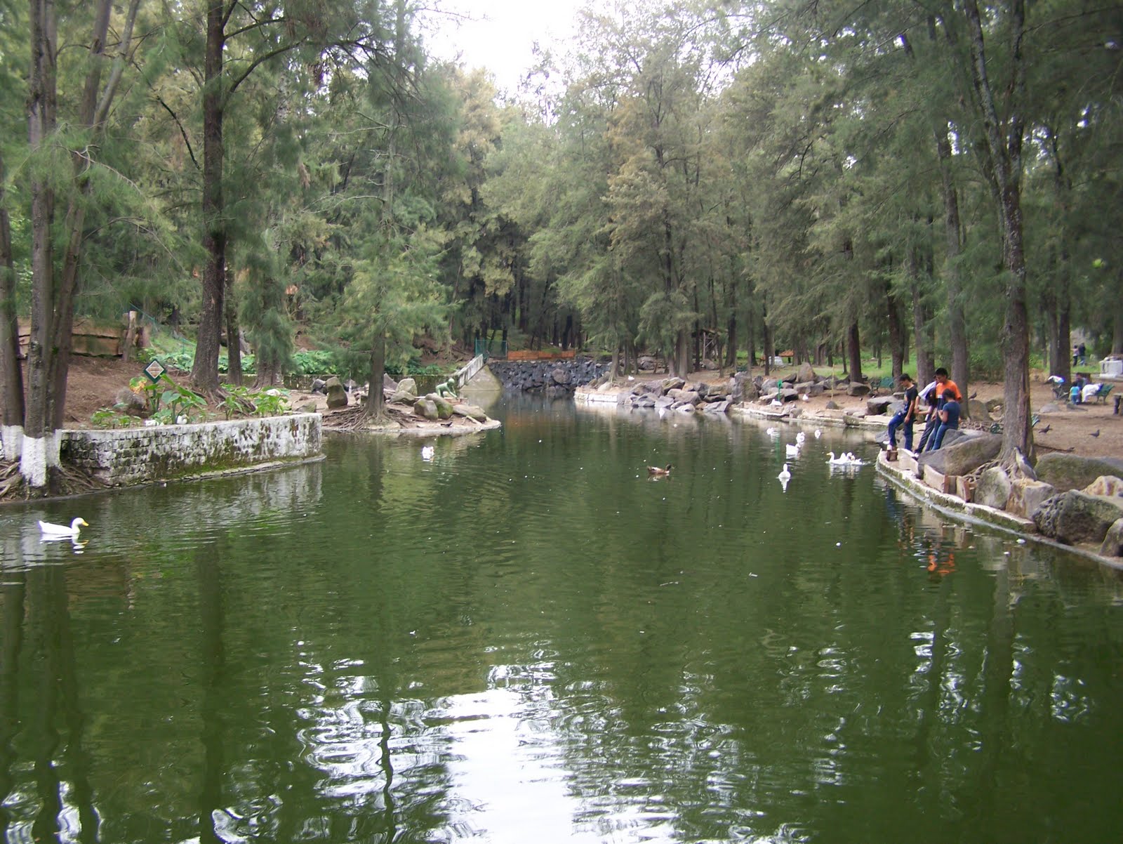 El Bosque Colomos y La Milla de la Uni-Son ~ Historia de la Universidad ...