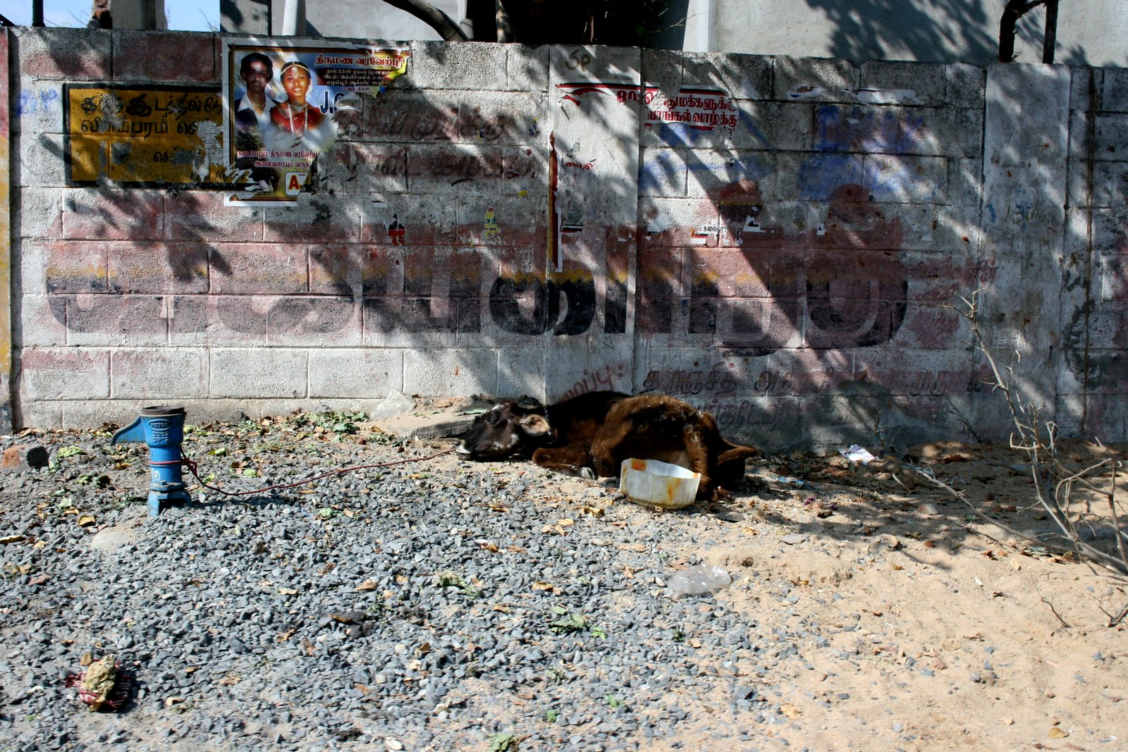 TWENTY SIX HOURS IN CHENNAI / POOBERRY SEEES | Pootsville