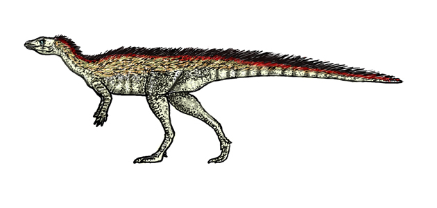 Chinleana: Lesothosaurus diagnosticus Reconstruction by Jeff Martz