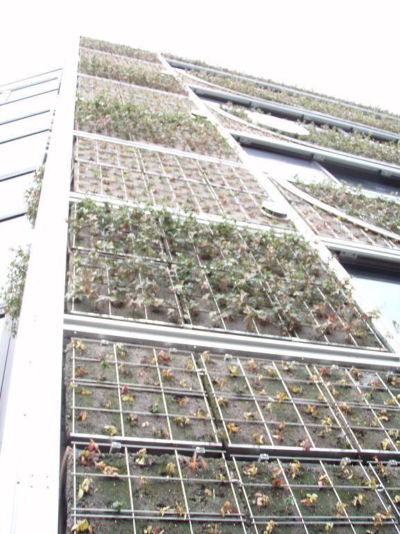 worldstallestpygmy: Growing building