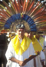 LAS TIERRAS DE MOXOS: Los Macheteros