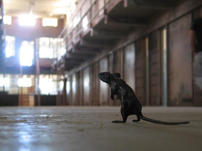 Globspot: What happens to rats in jail? (Well, mice anyway)