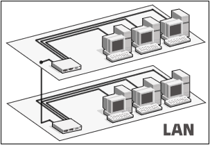 Computer Networks and Protocol: LAN TOPOLOGY