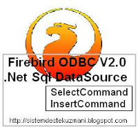 Firebird SQL: Firebird ODBC & Sql Datasource Insert -Select Command