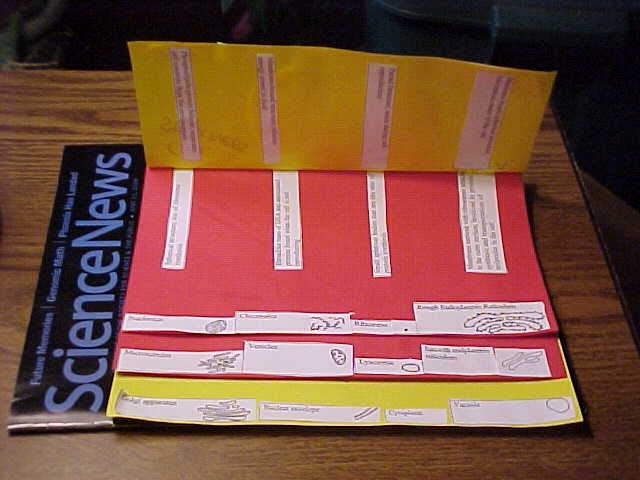 Science Tutor: Cell Structures and Functions Foldable