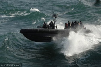 Coronel Von Rohaut: Las monturas de los "commandos marine"