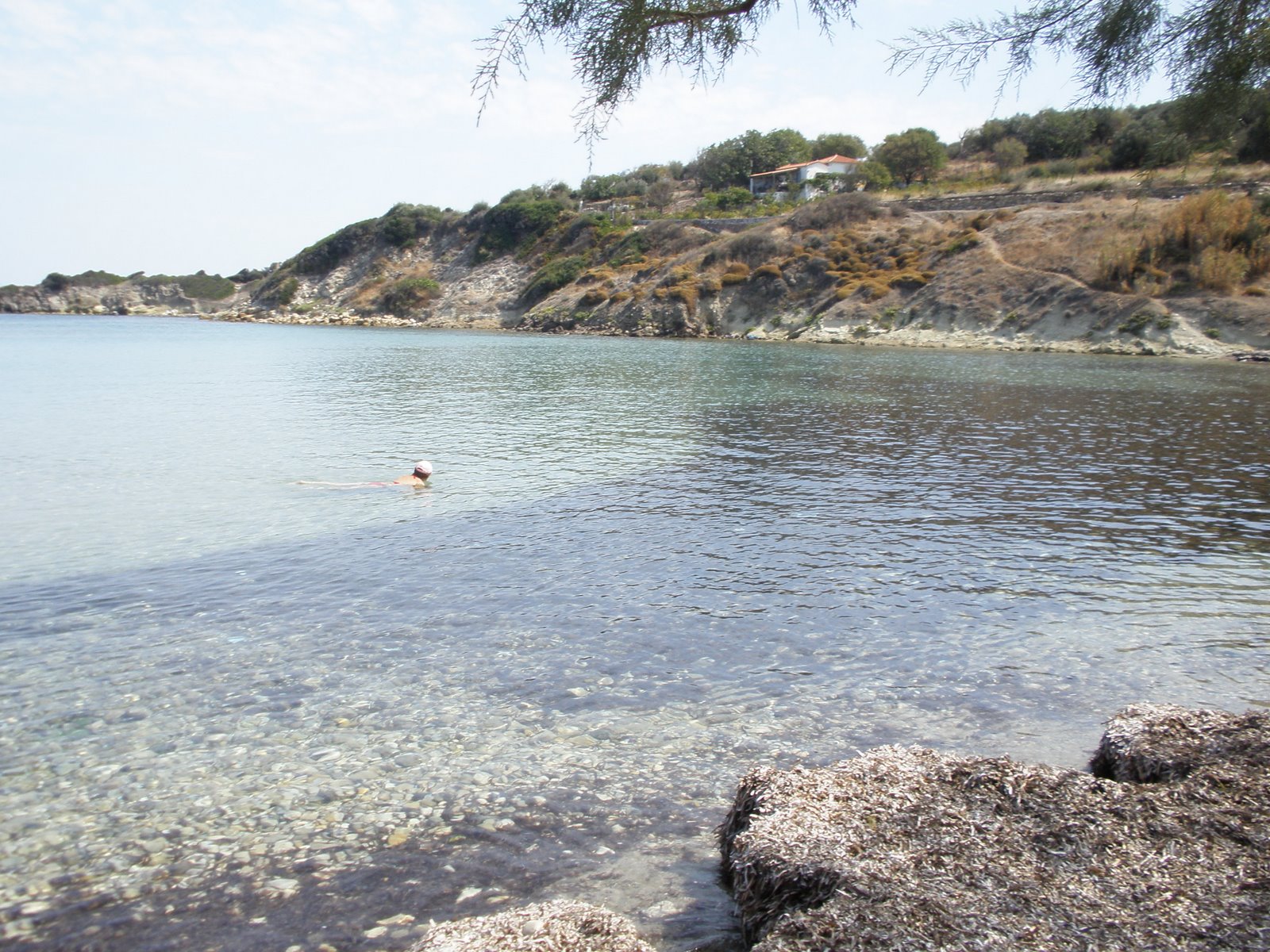 ΜΥΤΙΛΗΝΗ: ΒΙΓΛΑ
