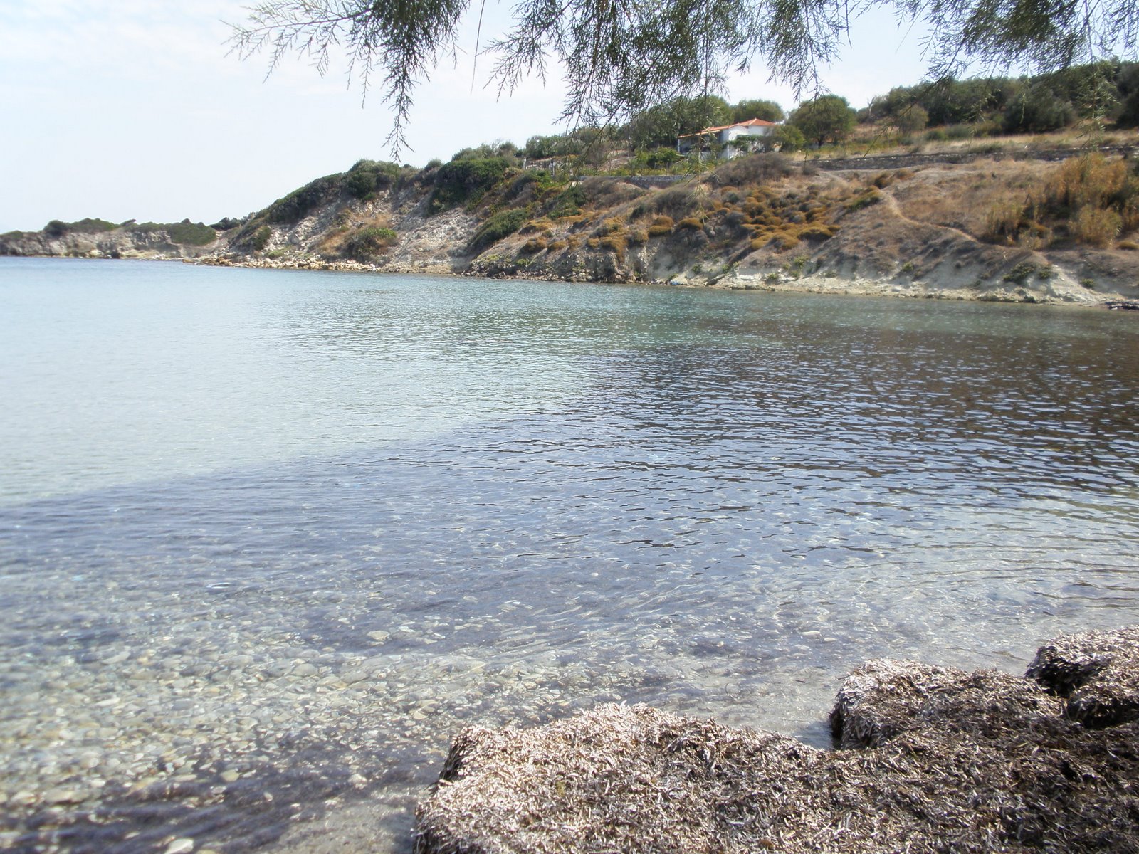 ΜΥΤΙΛΗΝΗ: ΒΙΓΛΑ