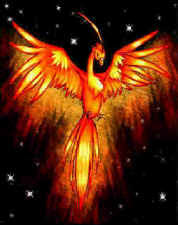 Garghi space: La Fenice