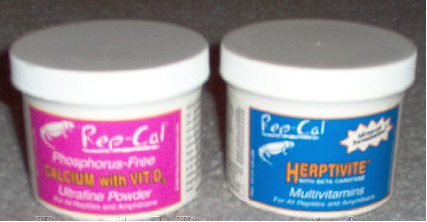 Awesome Leopard Gecko Information: Leopard Gecko Calcium