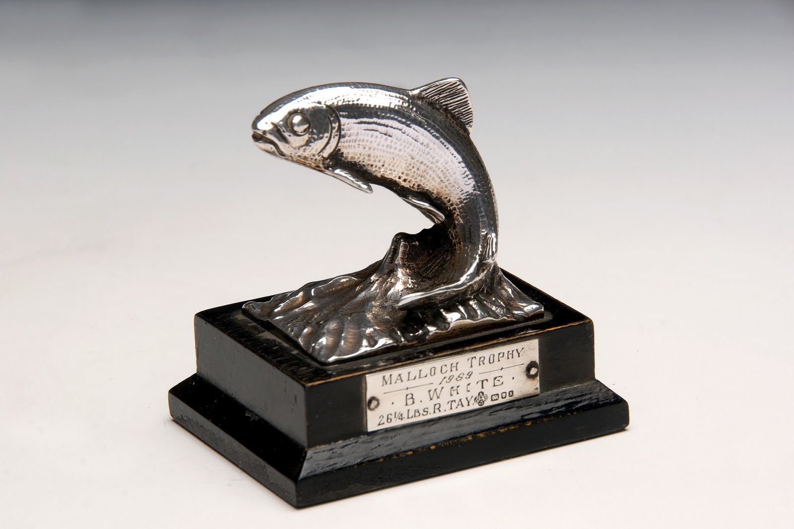 Salmon Fishing Scotland.: Salmon Fishing Scotland The Malloch Trophy 2009.