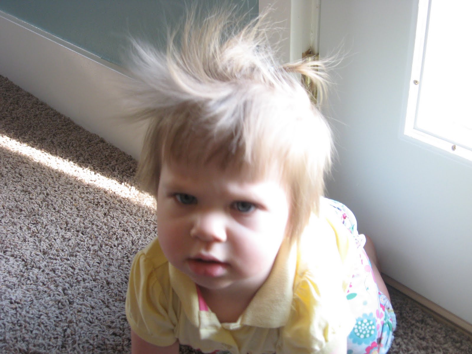 Life In the Northwoods: Hair Explosion II