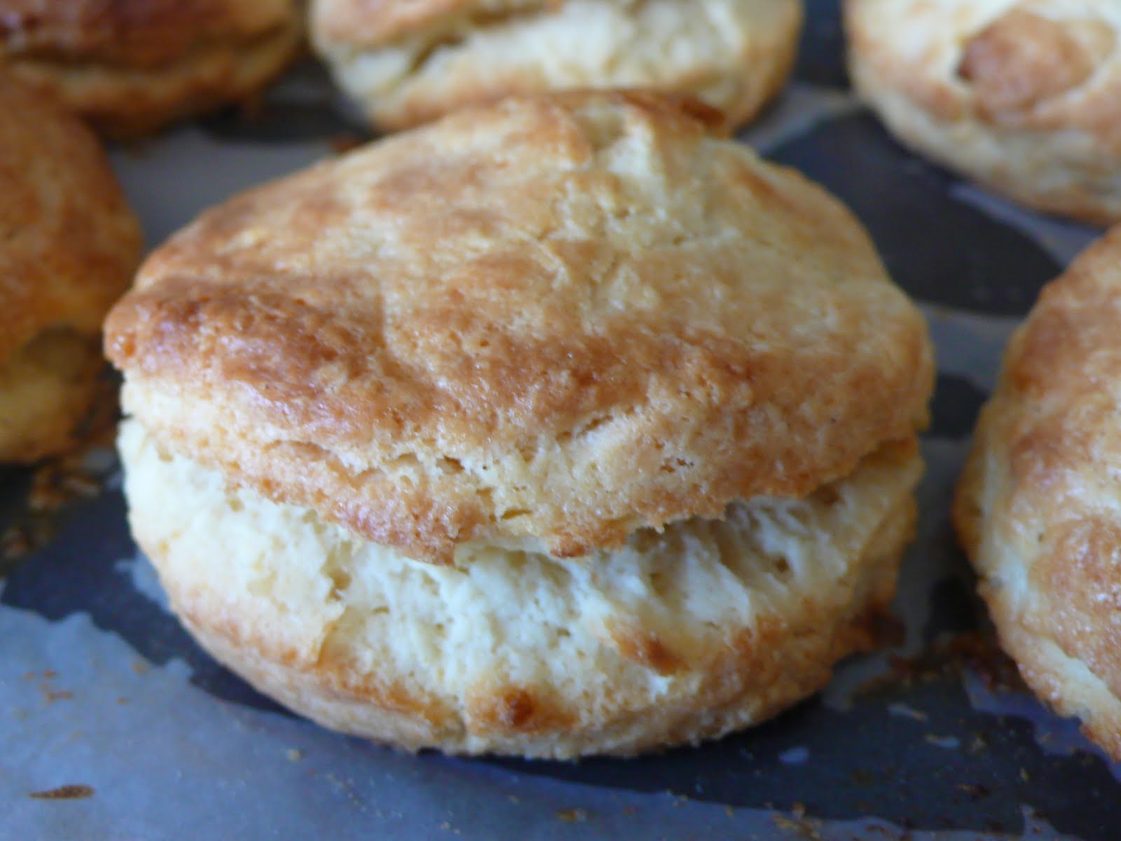Food Endeavours of the Blue Apocalypse: A guide to making awesome scones.