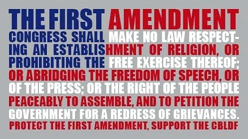 Life Spot: All Bloggers Remember the 1st Amendment!!!