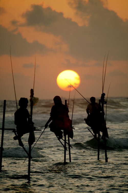 Buddhika Weerasinghe: STICK FISHING