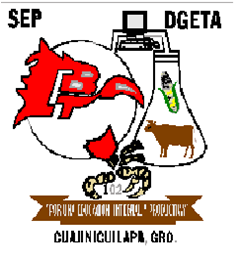 CBTA 102 CUAJINICUILAPA, GRO.