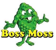 Granny Good Food: Cereal Killers