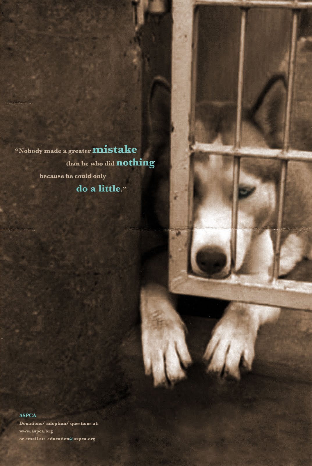 : no turning back :: ASPCA - Poster Mock Up