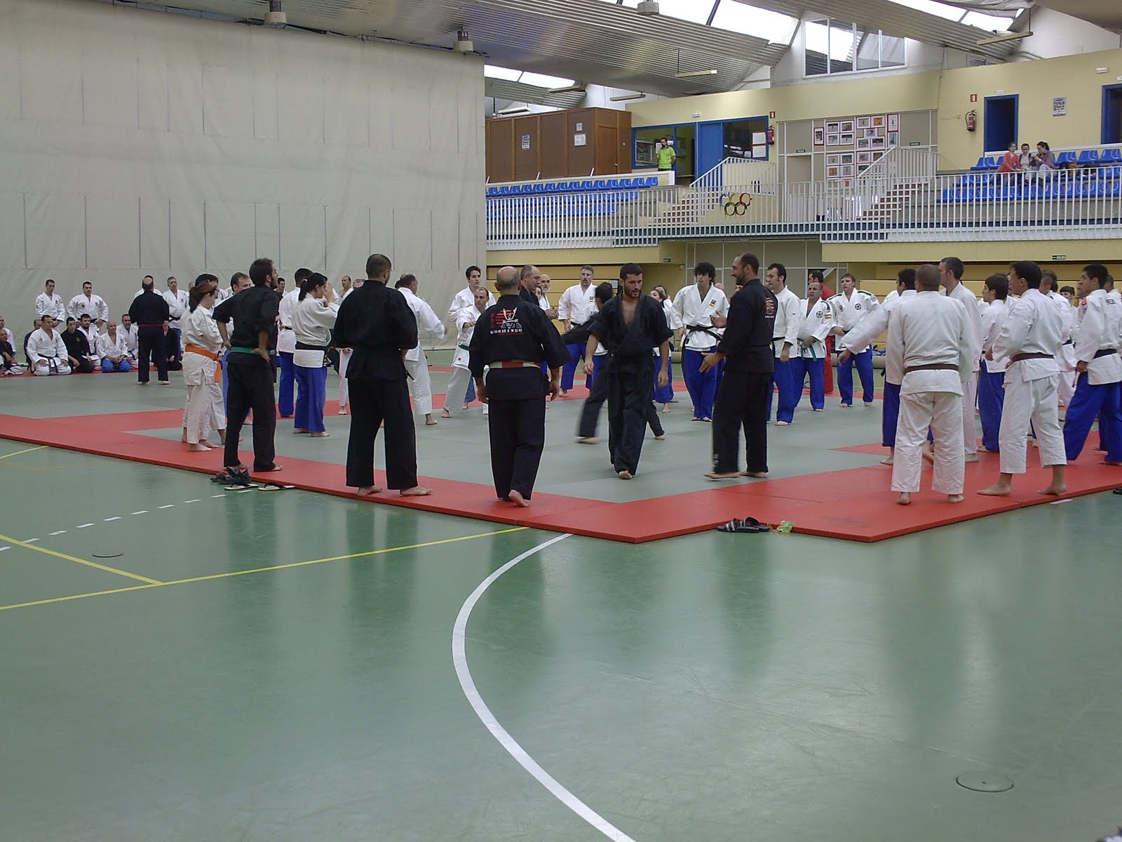 David moronta peñA: JUDO - JIU JITSU