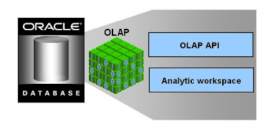 Oracle OLAP: OLAP Workshop 2 : Understanding OLAP Technology