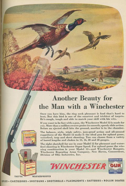 THE OLD MAN OF BLOOD MOUNTAIN: Vintage Gun Ads