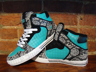 Too Hood 4 Hollywood: Supra Vaider(Teal/Snake)
