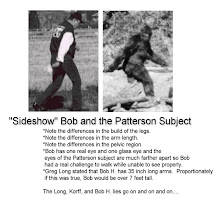 45th Anniversary of Patty: Patterson/Gimlin Film Videos