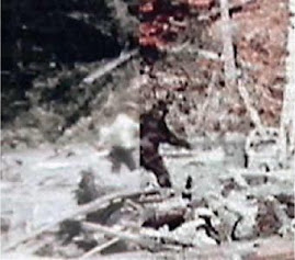 45th Anniversary of Patty: Patterson/Gimlin Film Videos