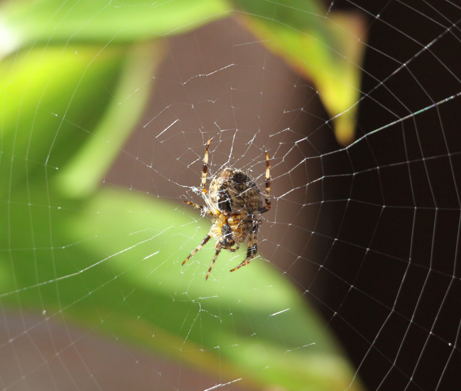 The Bagsy Blog: Jackspeak - The Slanguage of the Royal Navy