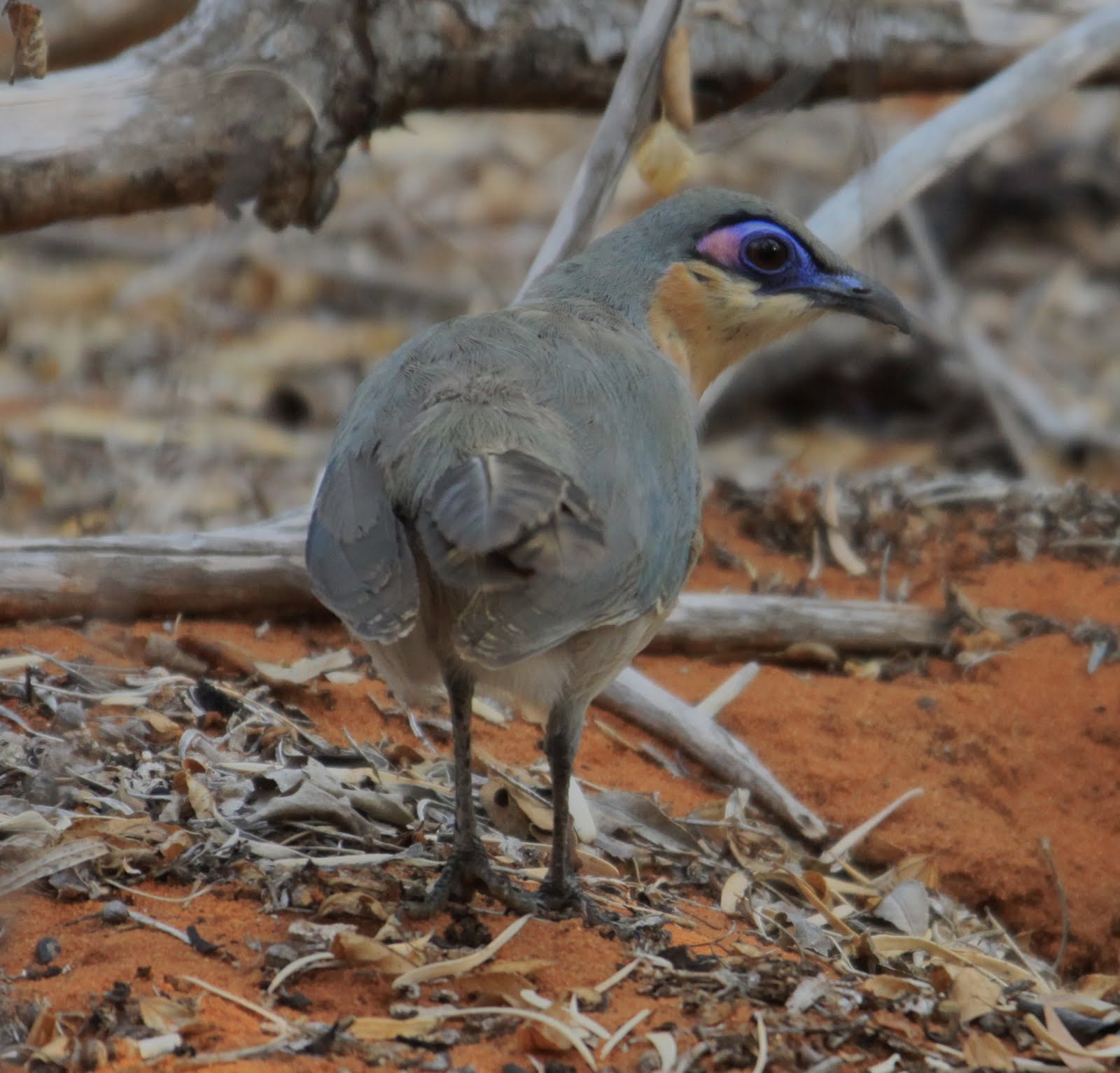 The Bagsy Blog: 11/03/10