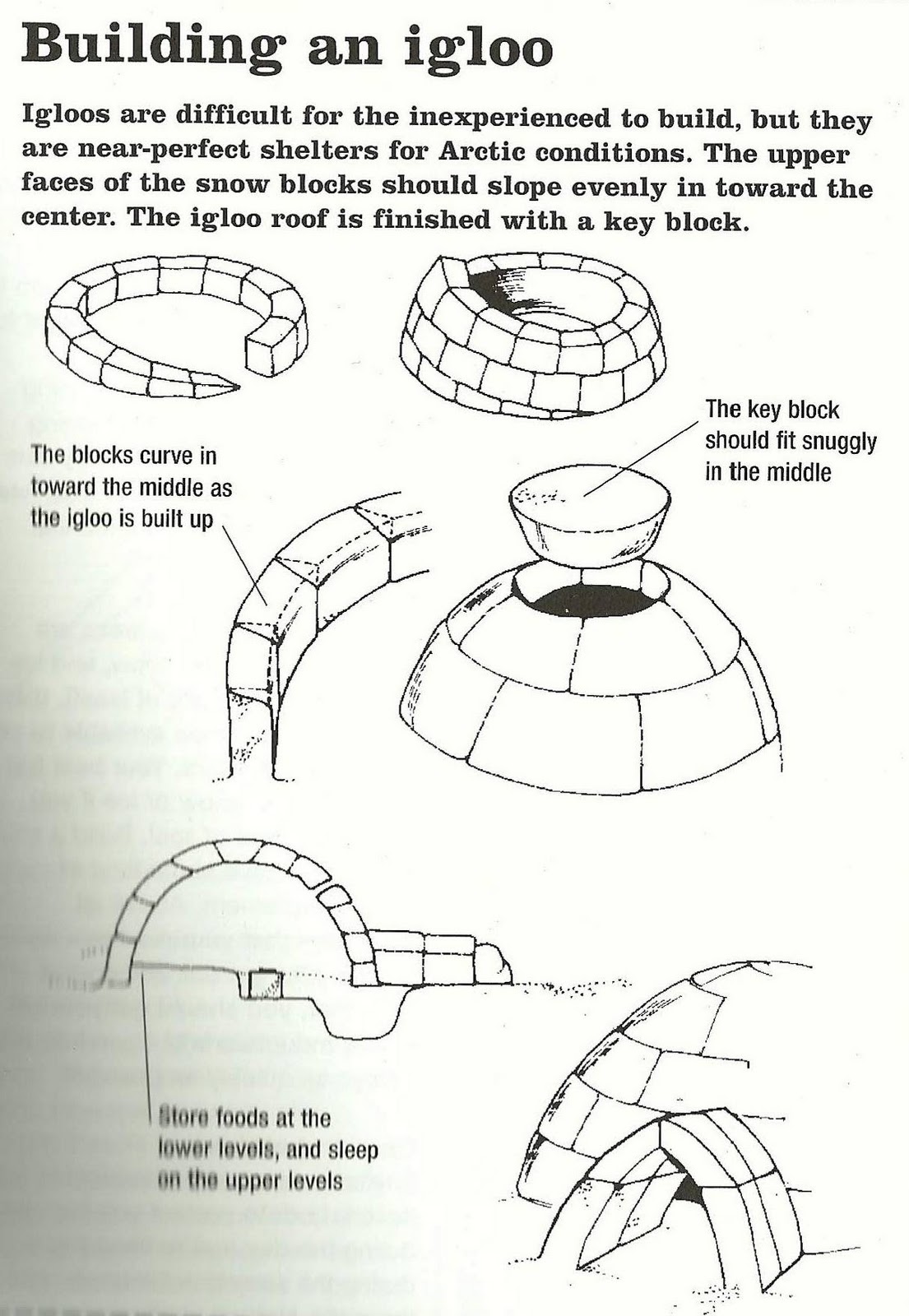 Built an Igloo | LS1GTO Forums