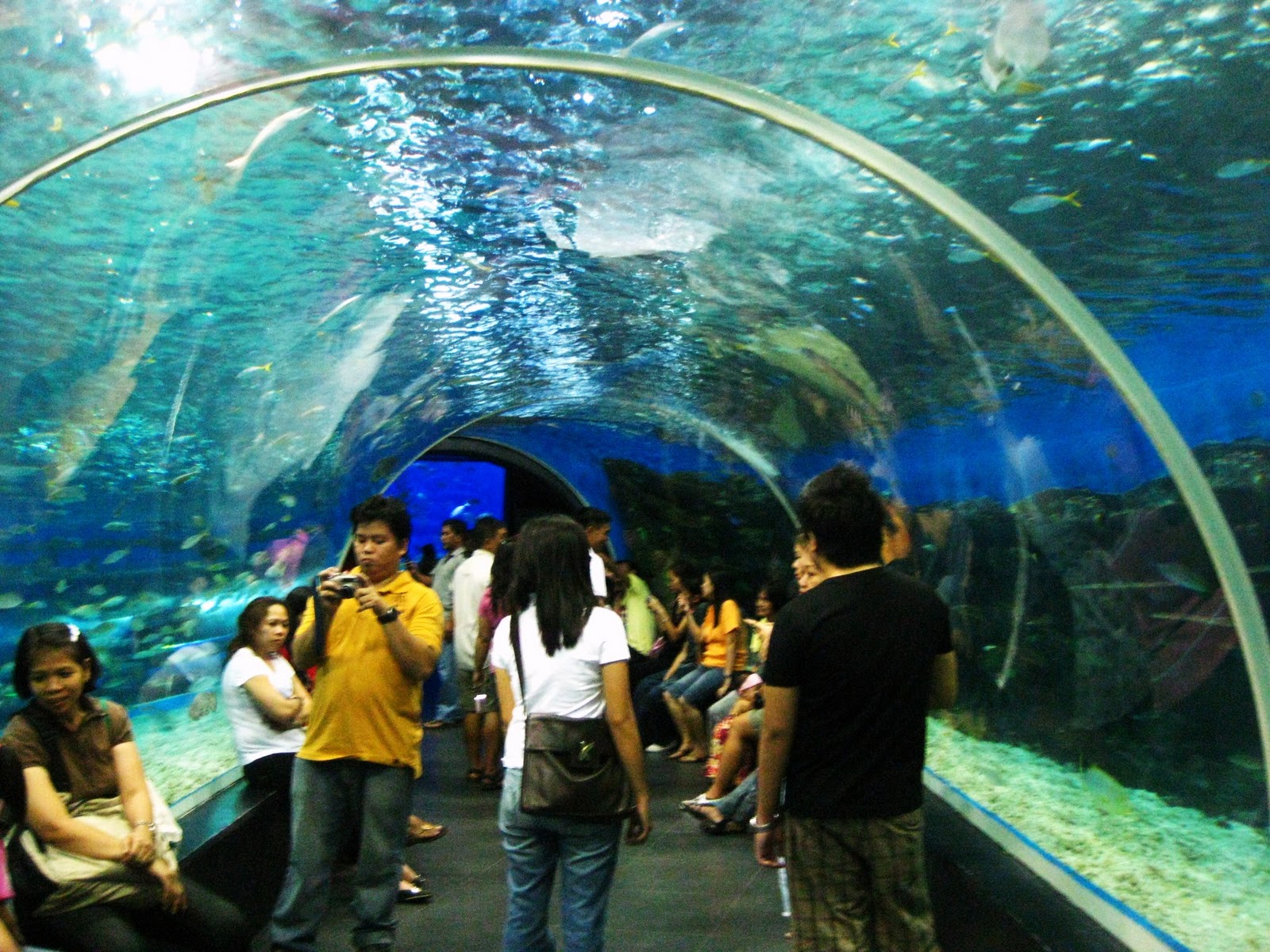 A Day Trip at the Manila Ocean Park