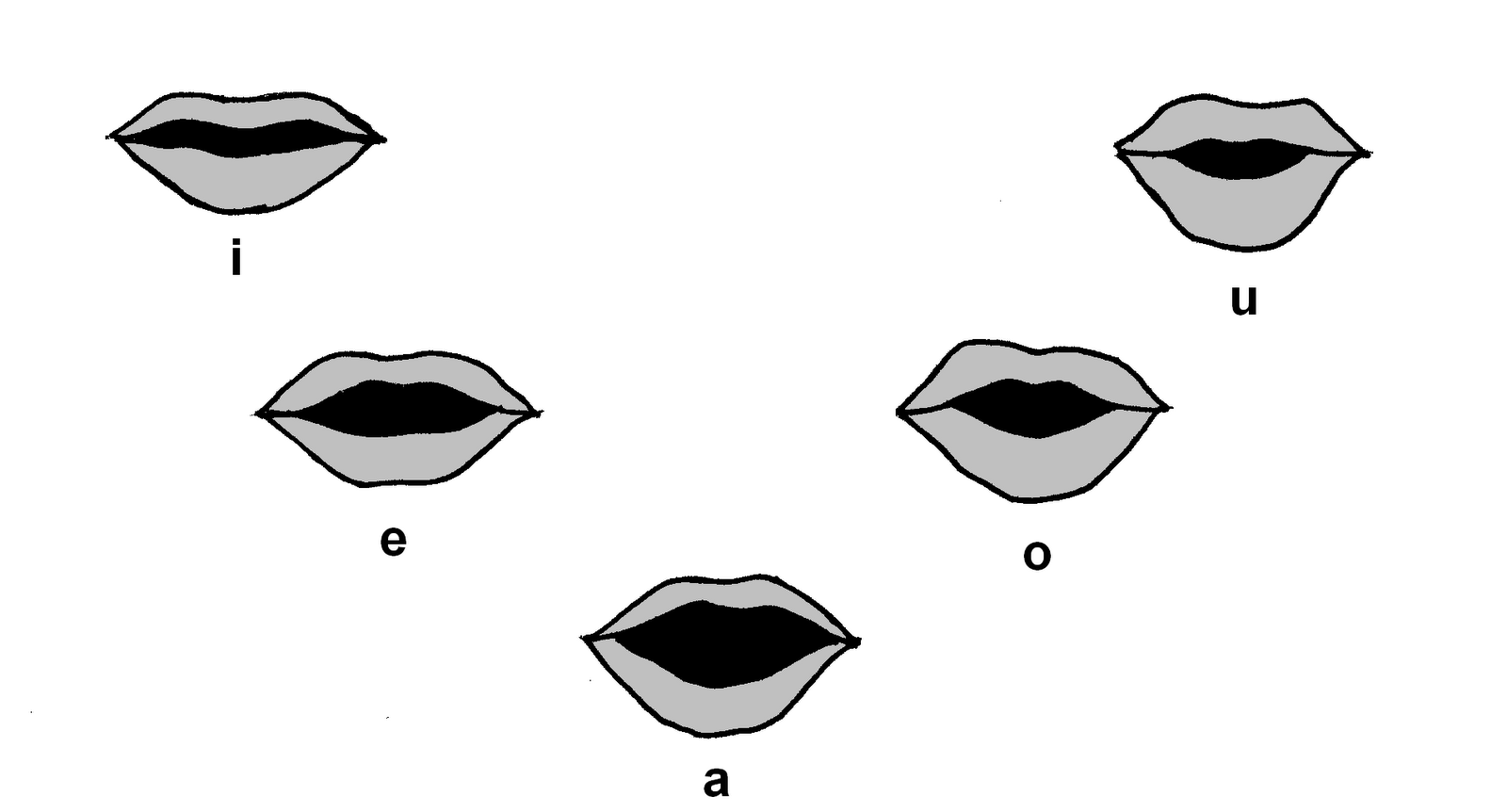 Shaan Science Academy: Phonology.... Vowels