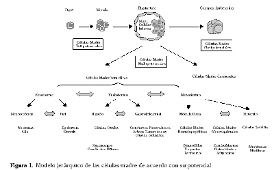 | Conocer Ciencia