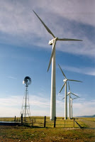 Keeping up with the Birds: Wind turbines and Birds