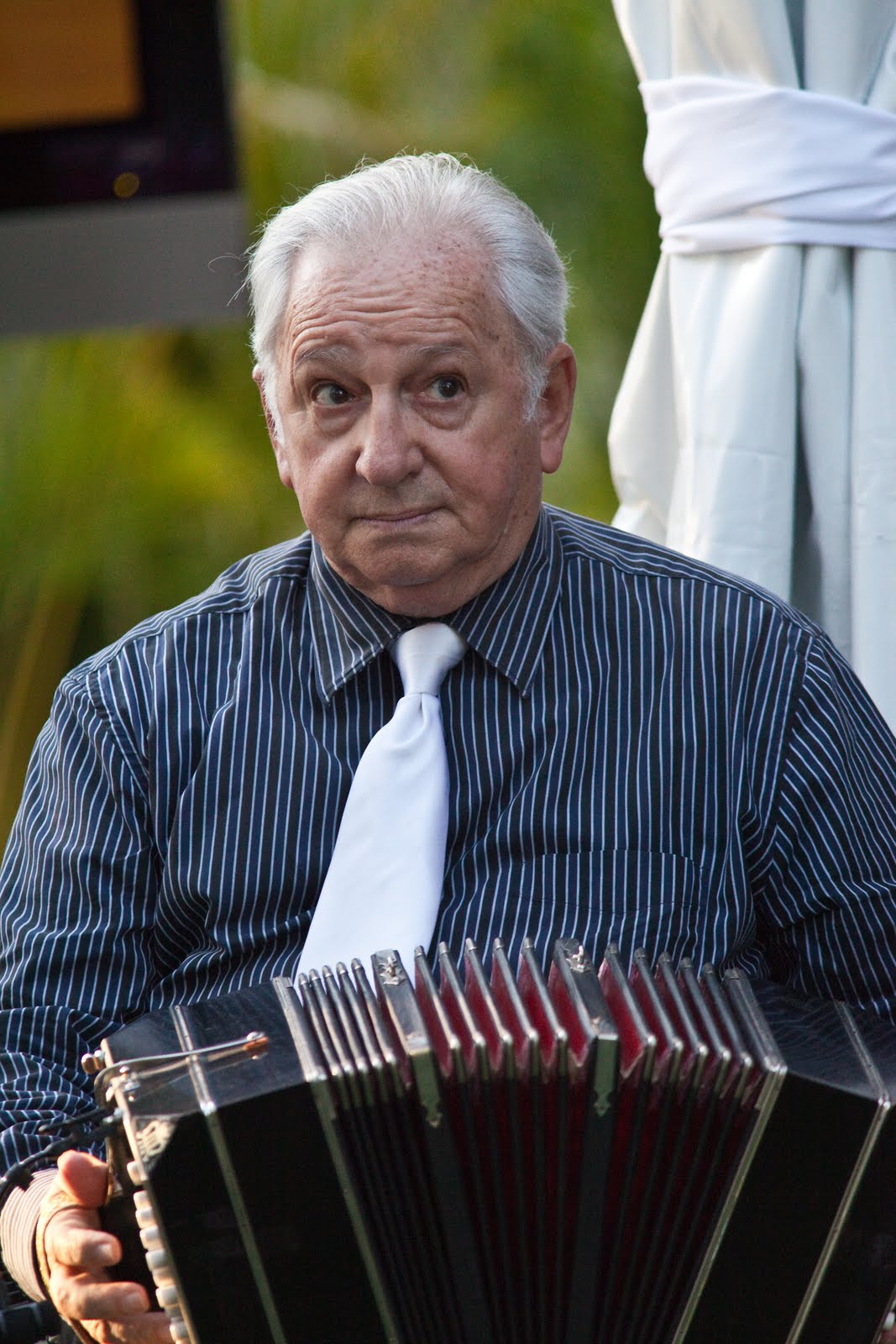 fragments: Old musician