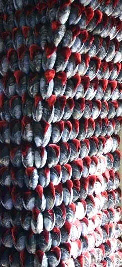 Fashion Link: Susie MacMurray II