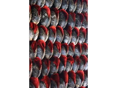 Fashion Link: Susie MacMurray II