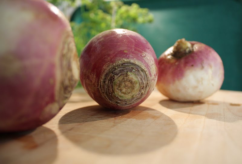 Hvitløkstekte nepe- og gulrotstaver på brød | Veganmisjonen