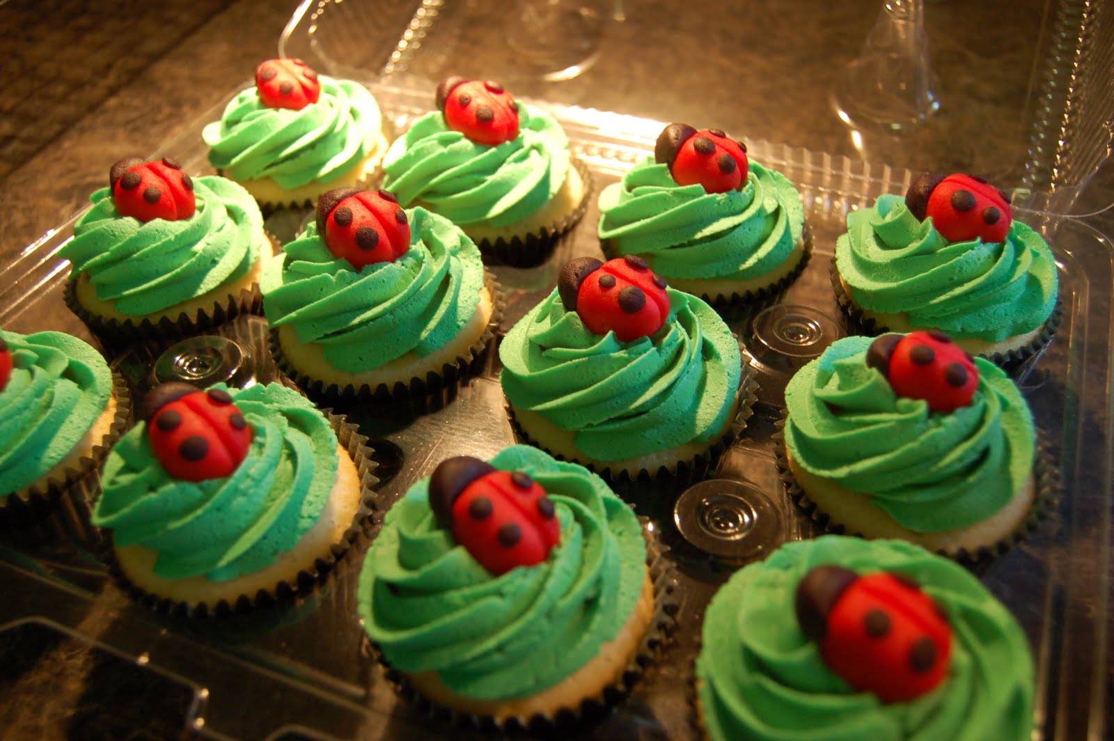 Sister's Baking Co.: Lady Bug Birthday Cupcakes and Cake!