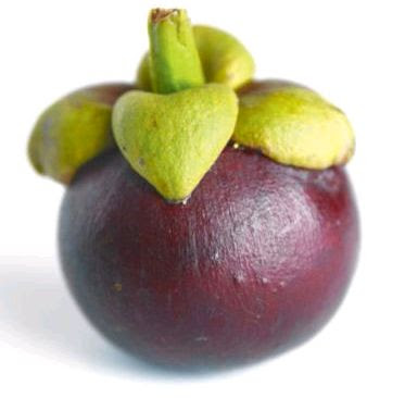 EL BARBARO: Mangostín, mangostán, mangostino